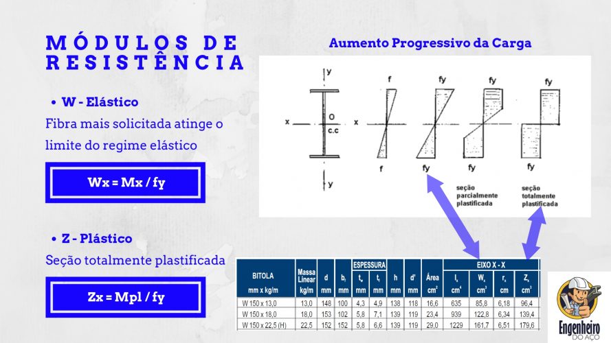 MÓDULO ELÁSTICO E MÓDULO PLÁSTICO DE UM PERFIL